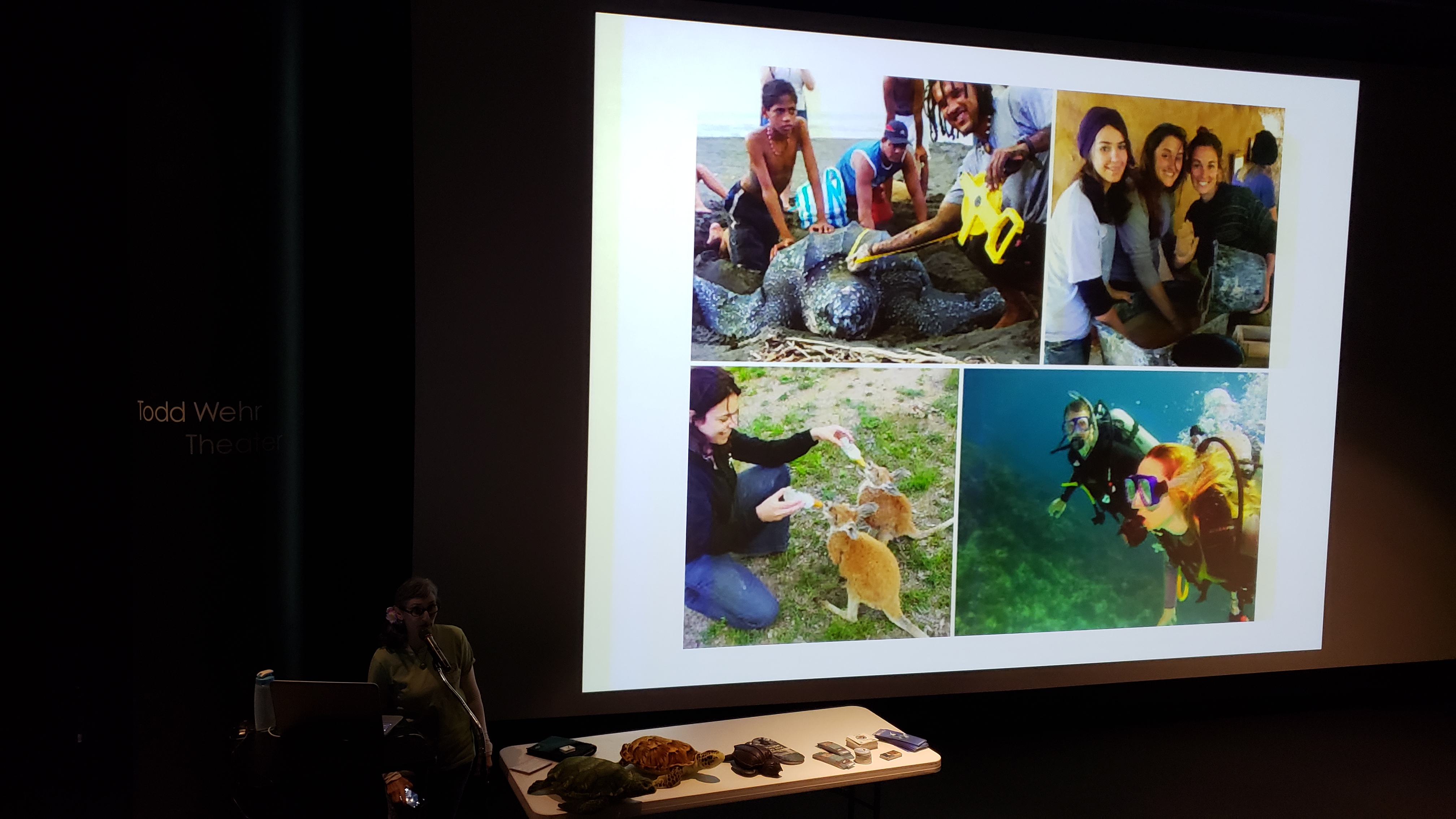 Speaking Engagements – Susan Hunnicutt